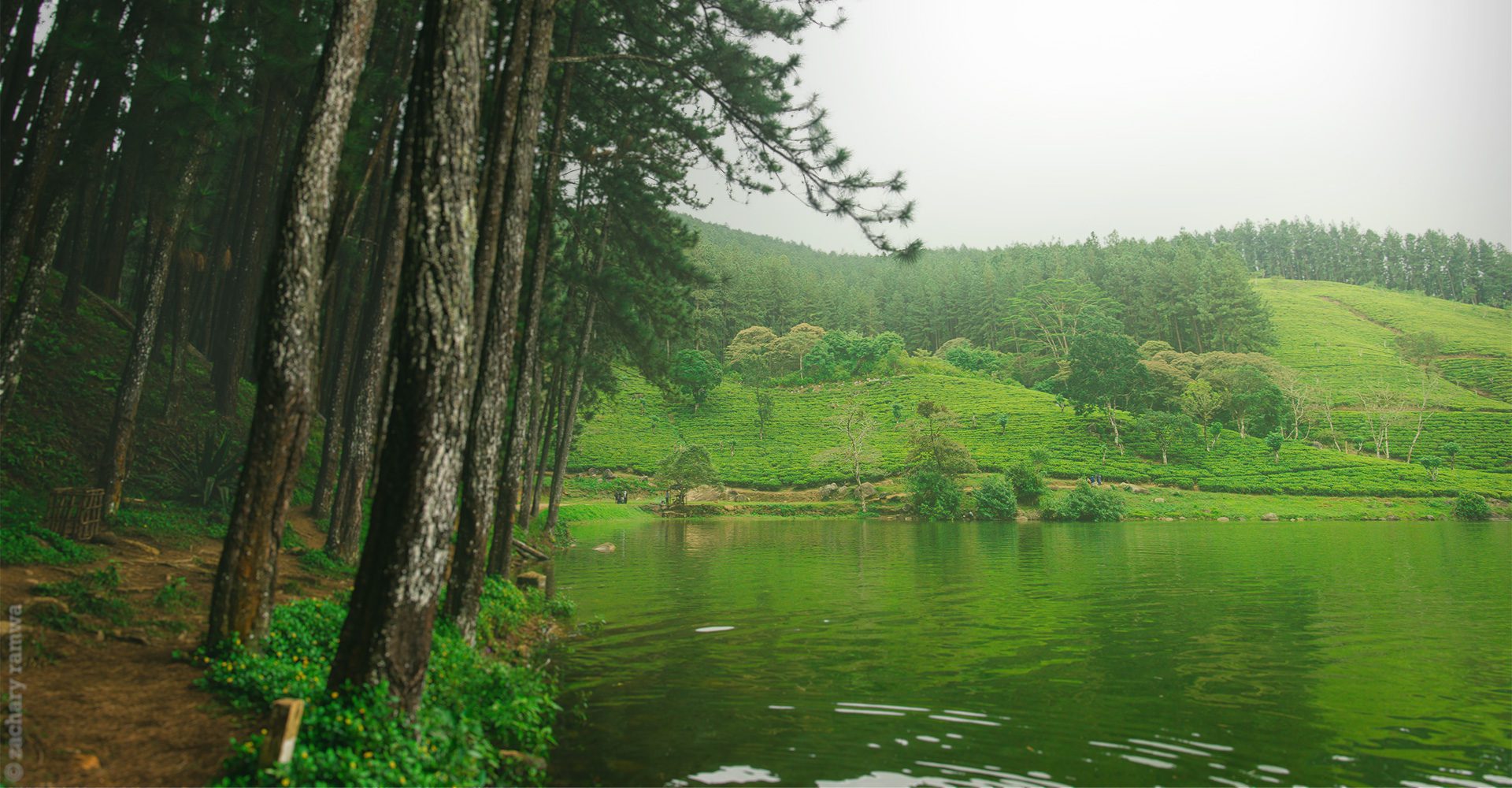 Elkaduwa Plantations